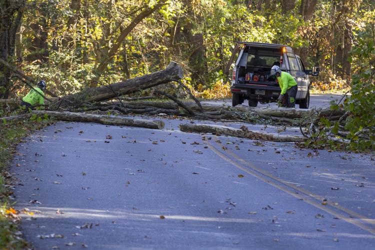 National Park crews from across the country tackle Blue Ridge Parkway ...