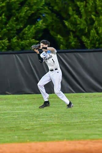 Tuscola baseball wins three straight | Sports | themountaineer.com