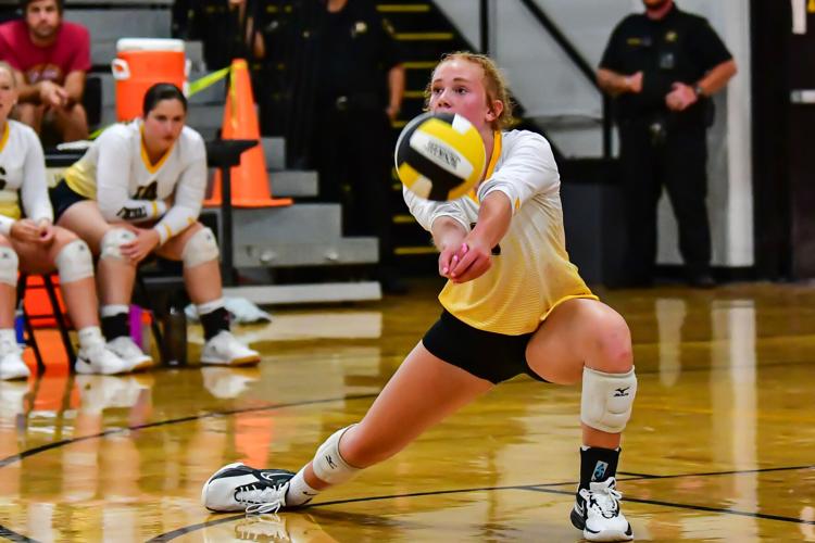 PHOTO GALLERY: Tuscola volleyball vs. Pisgah | Sports | themountaineer.com