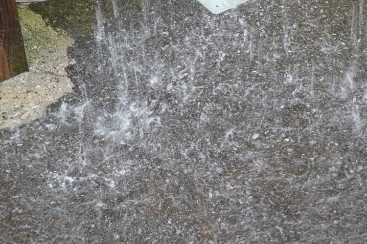 Storm turned out to be a blessing, not a curse | News | themountaineer.com