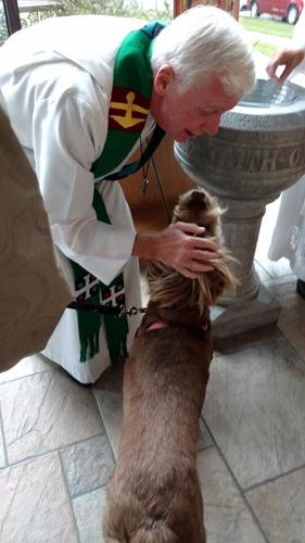 Bring your pet to church Sunday | Religion | themountaineer.com