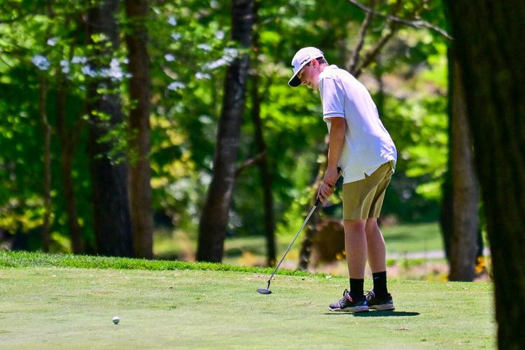 Tuscola qualifies for regional golf tournament | Sports ...