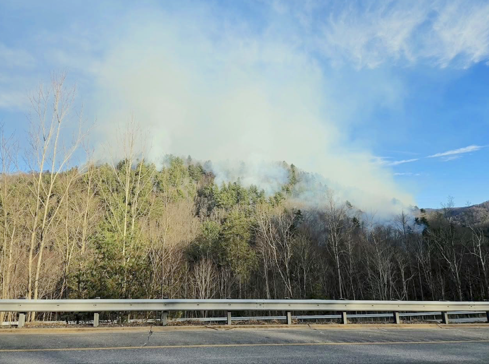 Forest fire burning in Harmon Den area of Haywood County | News ...