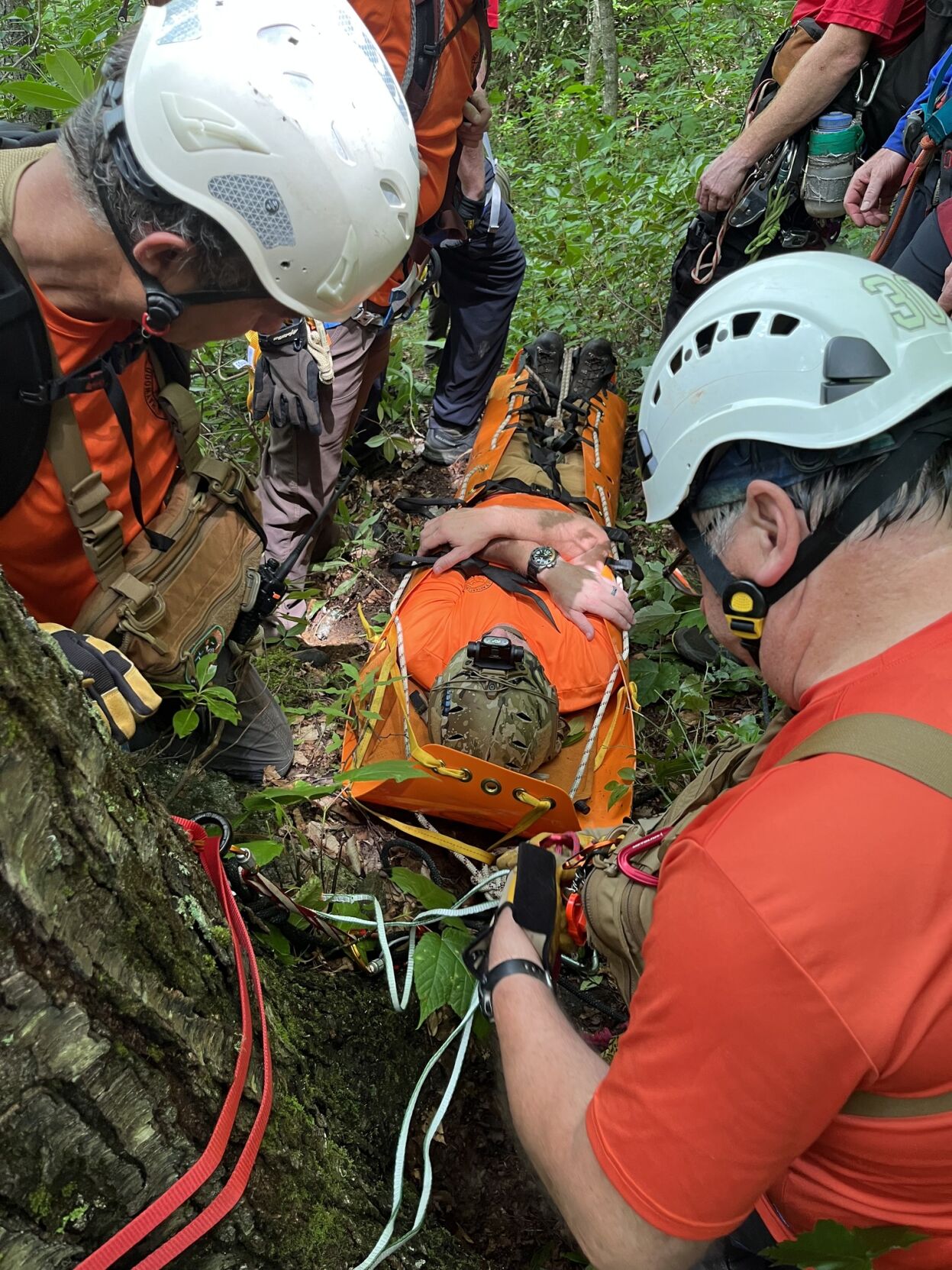 Lost in the wilderness: Hikers recount tales of rescue and tragedy ...
