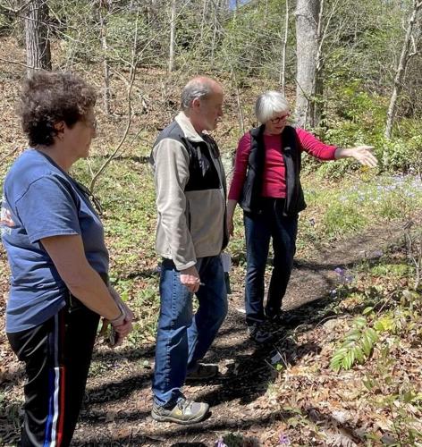 Guided walks offer expert knowledge in serene setting | Outdoors ...