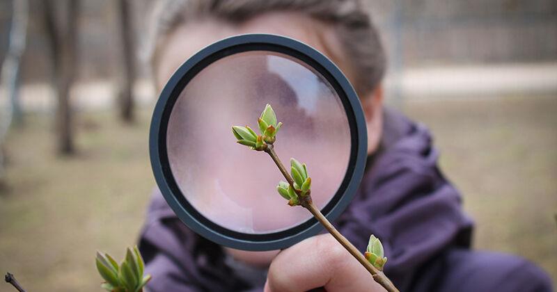 Environmental Stewardship Camp open to rising 8th and 9th graders ...