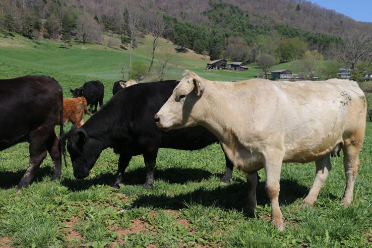 Farmland forever: Crabtree family makes a major pledge | News ...