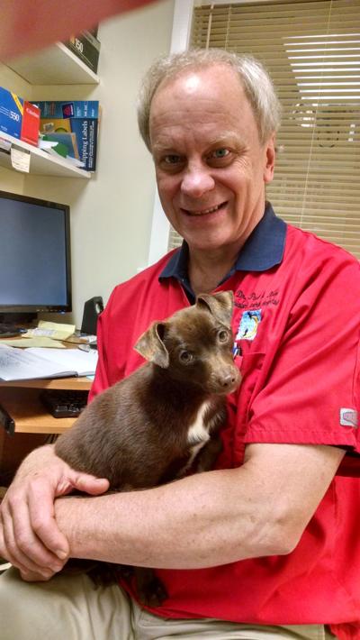 Balsam Animal Hospital celebrates 30 years June 25 | Business ...