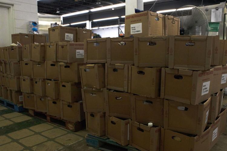 PHOTO GALLERY: Haywood Christian Ministries Food Drive ...