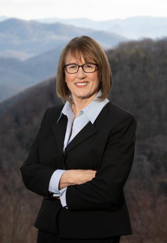 Maggie Valley Congressional candidate to plea to violating campaign ...