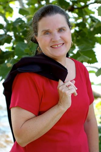 Meet Lin Stepp, author of new novel set in Waynesville | Arts ...
