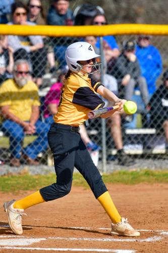 WMS softball caps season with title game appearance | Sports ...