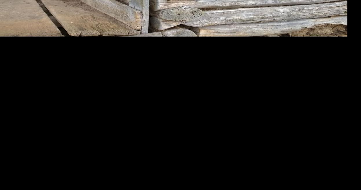 Hot in summer, cold in winter, log cabins provided independence ...