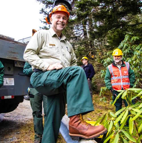 Haywood County tree en route to U.S. Capitol for Christmas | News ...
