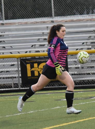 Oh so close: Tuscola girls soccer nearly upsets powerhouse | Sports ...