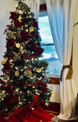 Get holiday decorating ideas on Canton Christmas Tour of Homes ...