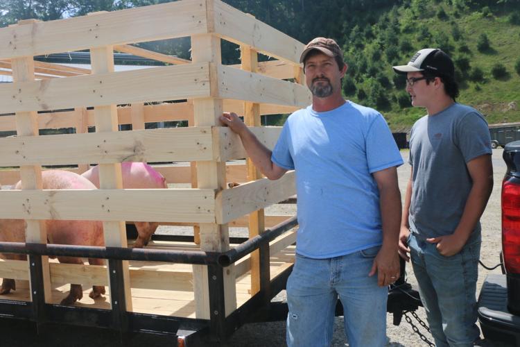 Bargain hogs are a hit | News | themountaineer.com