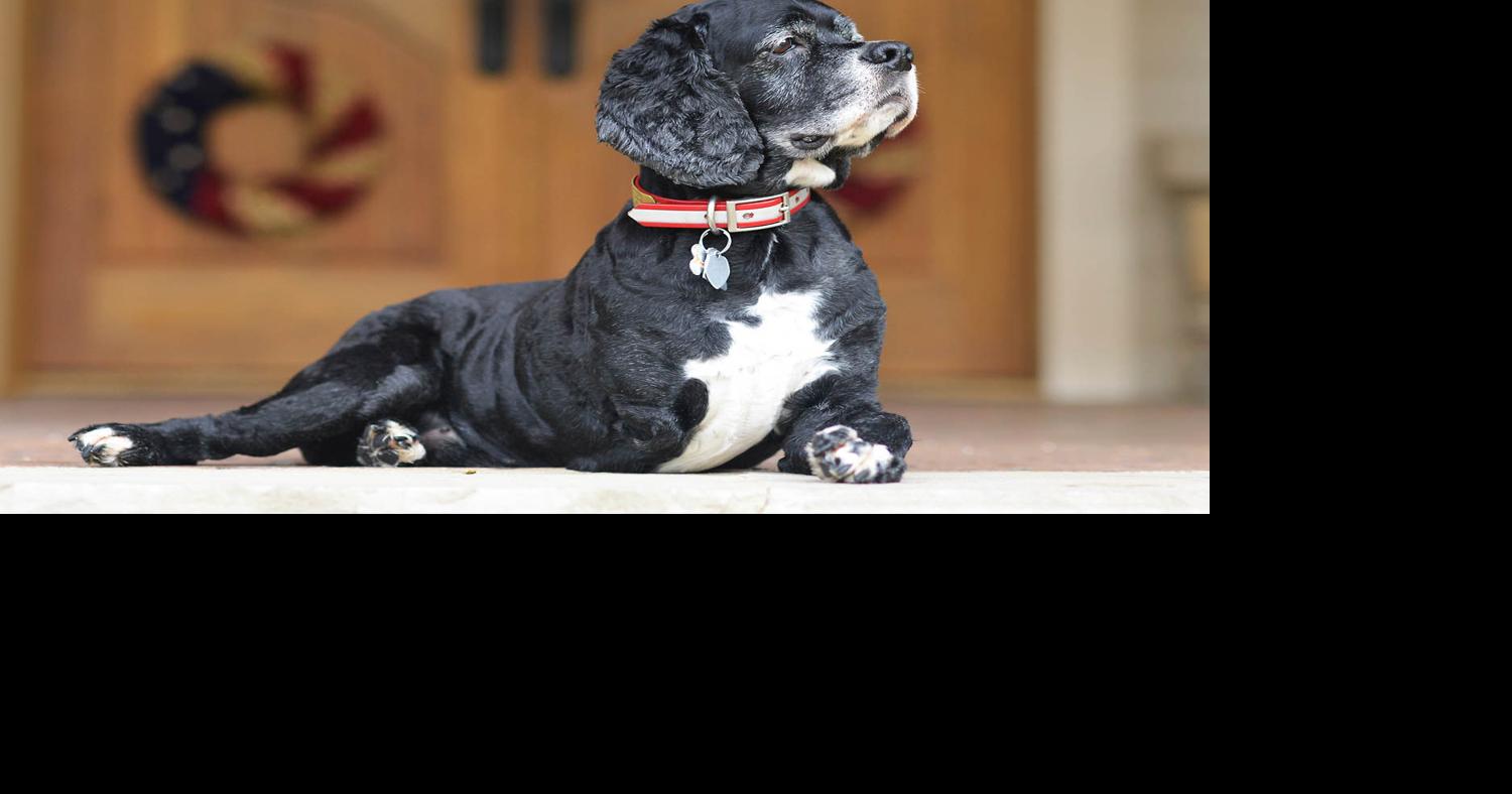 Three-legged star | Clubs / Non-Profits | themountaineer.com