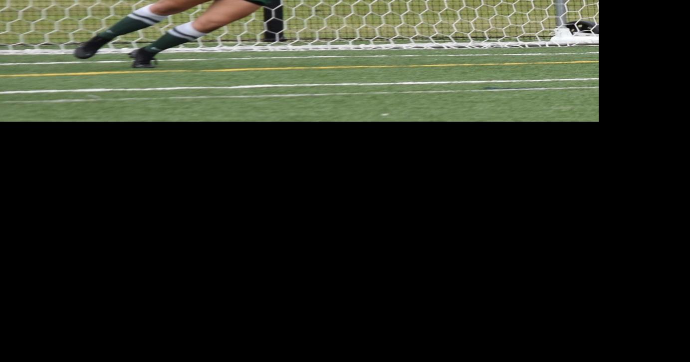 Tuscola's Swaim enjoys strong freshman season at Coker | Sports ...