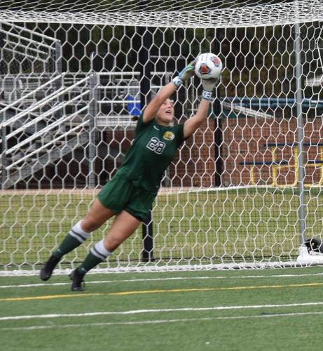 Tuscola's Swaim enjoys strong freshman season at Coker | Sports ...