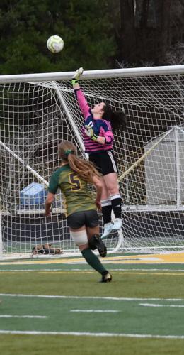 Tuscola's Swaim enjoys strong freshman season at Coker | Sports ...