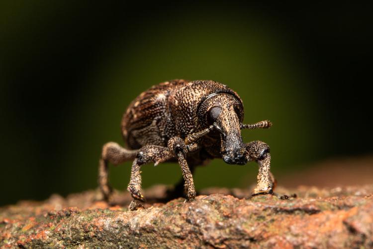 Round up your best shots for outdoor photography contest | Outdoors ...