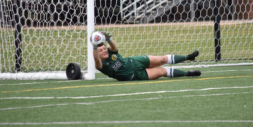 Tuscola's Swaim enjoys strong freshman season at Coker | Sports ...