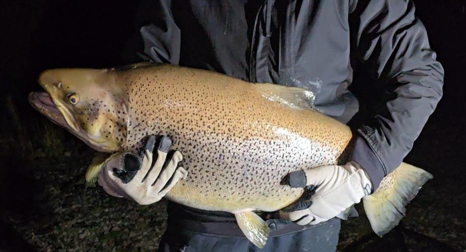 Haywood County angler lands 30+ pound trout during fishing marathon in ...