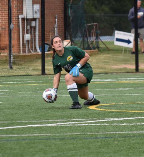 Tuscola's Swaim enjoys strong freshman season at Coker | Sports ...