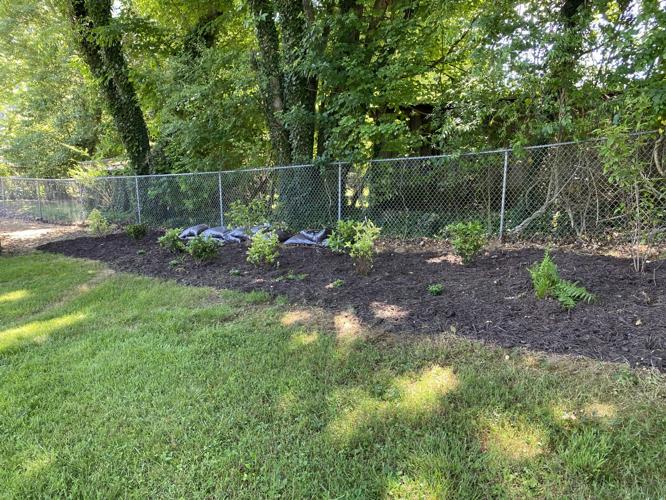 Kiwanis opens nature area, celebrates tot lot updates at Waynesville ...
