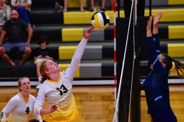 Tuscola volleyball ready to return to team's storied past | Sports ...