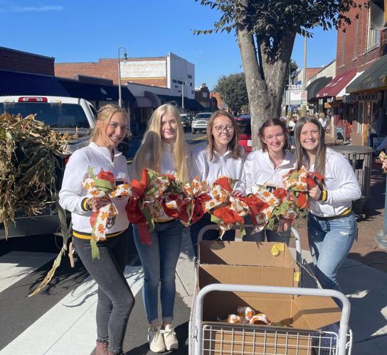 Tuscola cheerleaders deck the halls for fall | Life | themountaineer.com