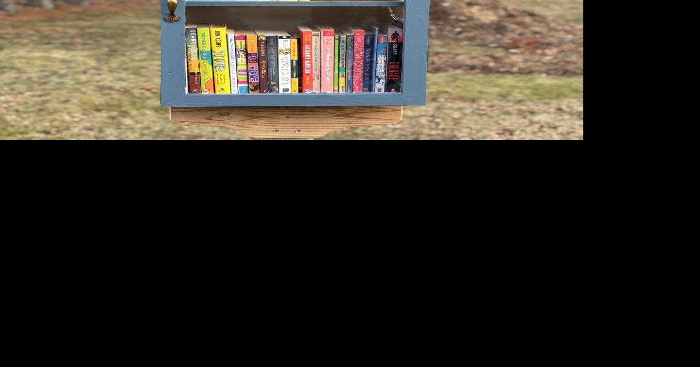 Little libraries, huge impacts: How Haywood folks are spreading books ...