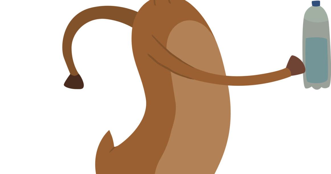 Lace up for the Reindeer Run and Grinch Sprint to benefit new Canton ...