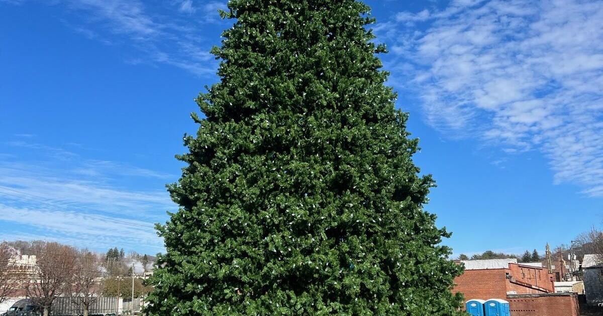 Canton’s new holiday decor makes its debut at tree lighting ceremony ...