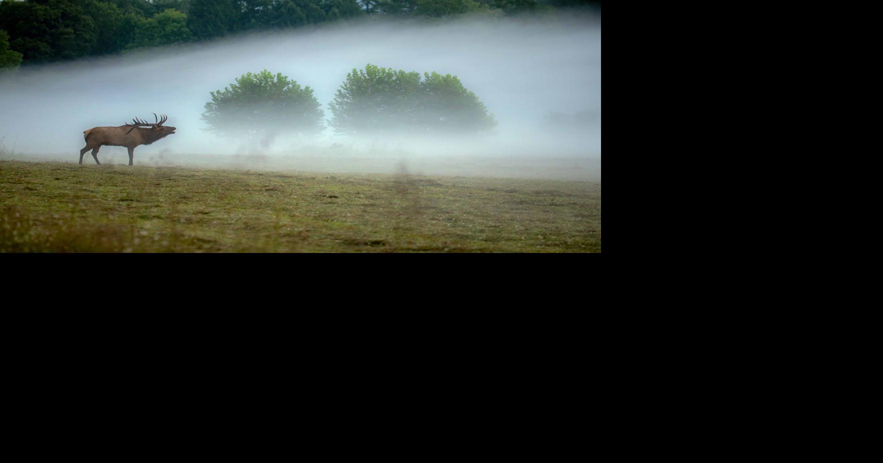 Round up your best shots for outdoor photography contest | Outdoors ...