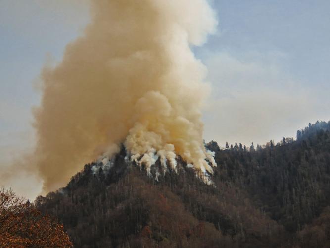 Maggie Valley residents learn how to keep homes safe from wildfires ...
