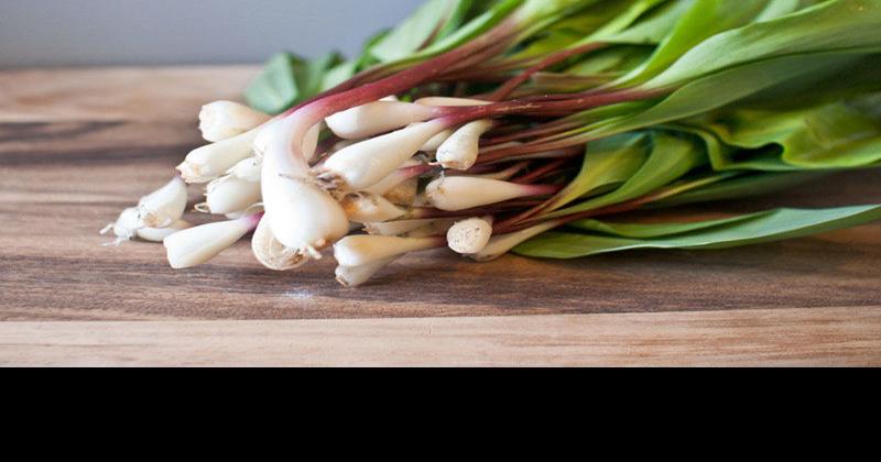 Sure sign of spring, Fines Creek ramp dinner is back | Briefs ...