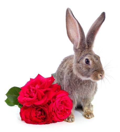What to do for Valentine's in Haywood | Arts Entertainment ...