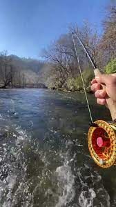 Haywood fly fishing guru to share adventures at Cataloochee Trout ...