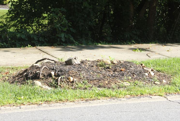 To mulch or not to mulch? That is the question (and answer) | Outdoors ...