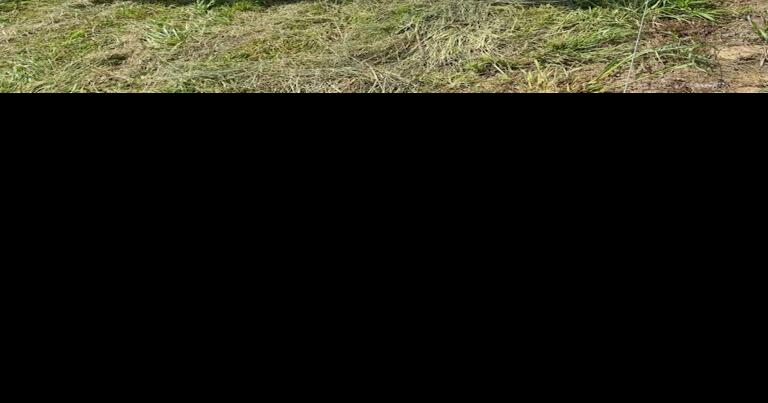 Choose your own adventure on the WNC Farm Tour | Outdoors ...