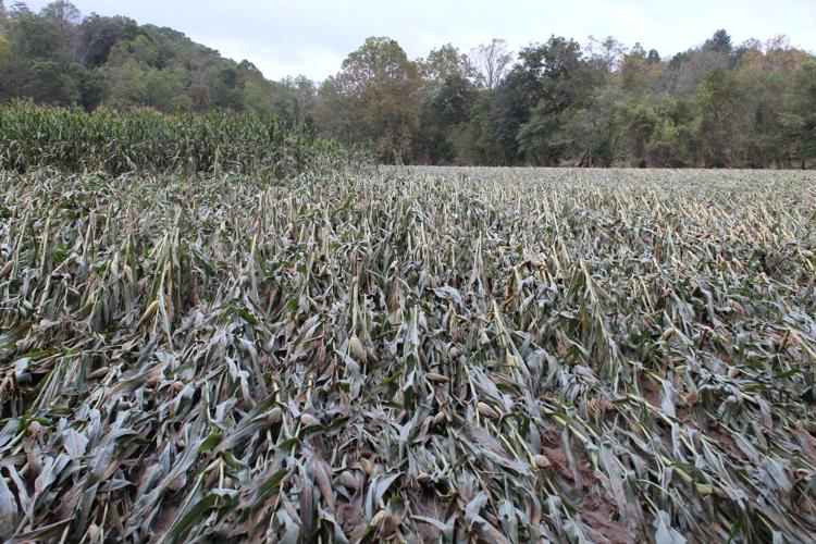 PHOTO GALLERY: Flooding down river in Crabtree and Hyder Mountain ...