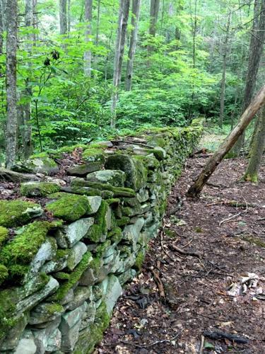 Explore the Boogerman Trail | Outdoors | themountaineer.com