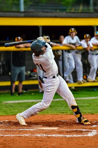Tuscola baseball on five-game conference win streak | Sports ...