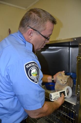 New law requires microchip scanning | News | themountaineer.com