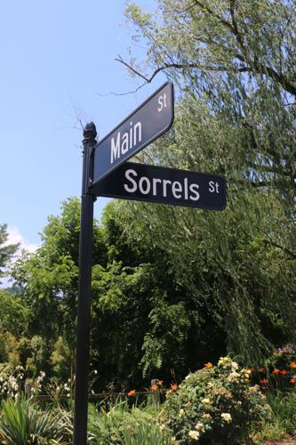 Street signs a hit in Canton | News | themountaineer.com