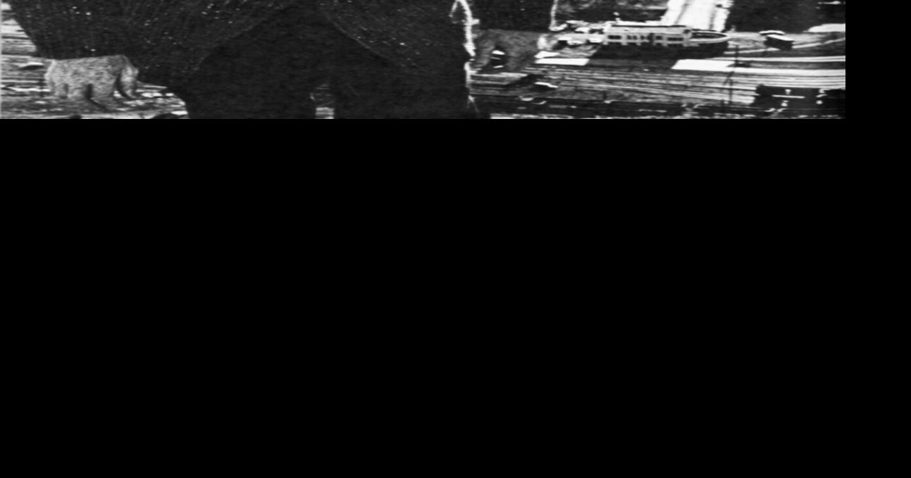 Chief Harry Cable – Because it’s my town | Columnist | themountainmail.com