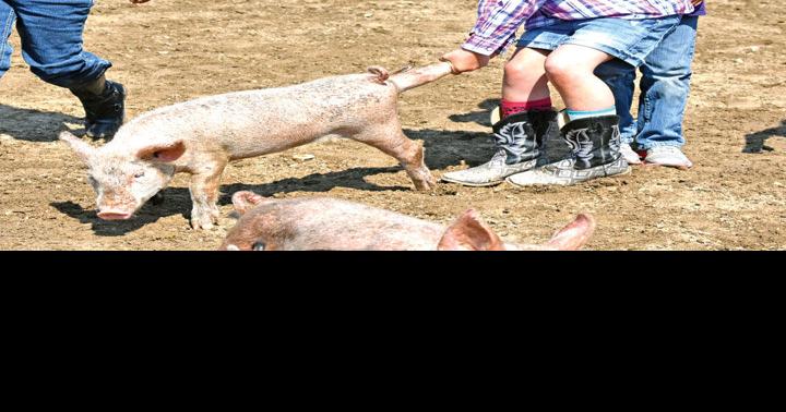 Chaffee County Fair & Rodeo | Free Content | themountainmail.com