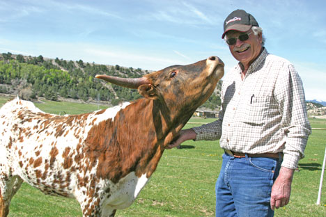 New calves born at Jones Longhorns | Free Content | themountainmail.com